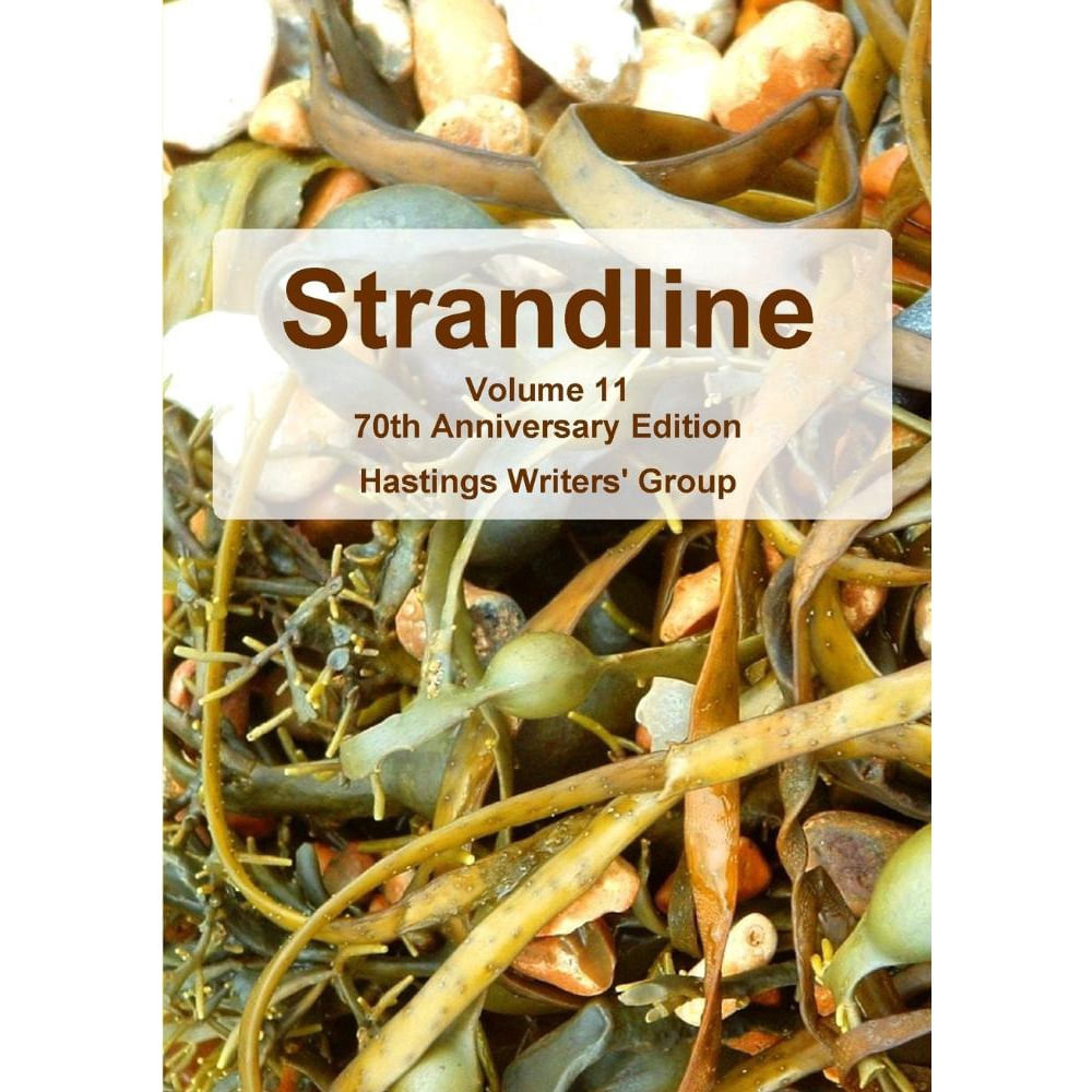 Strandline 11 em Promoção | Ofertas na Americanas