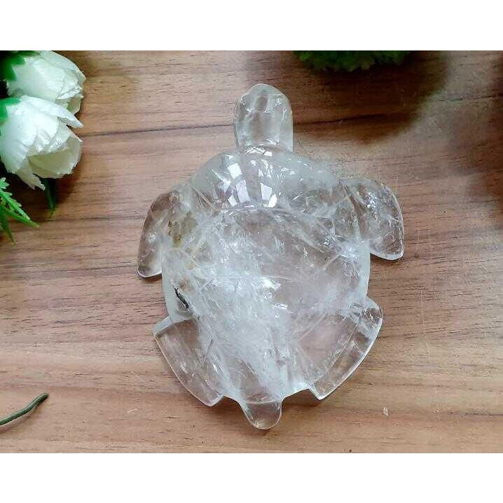 Tartaruga de Cristal 300g em Promoção | Ofertas na Americanas