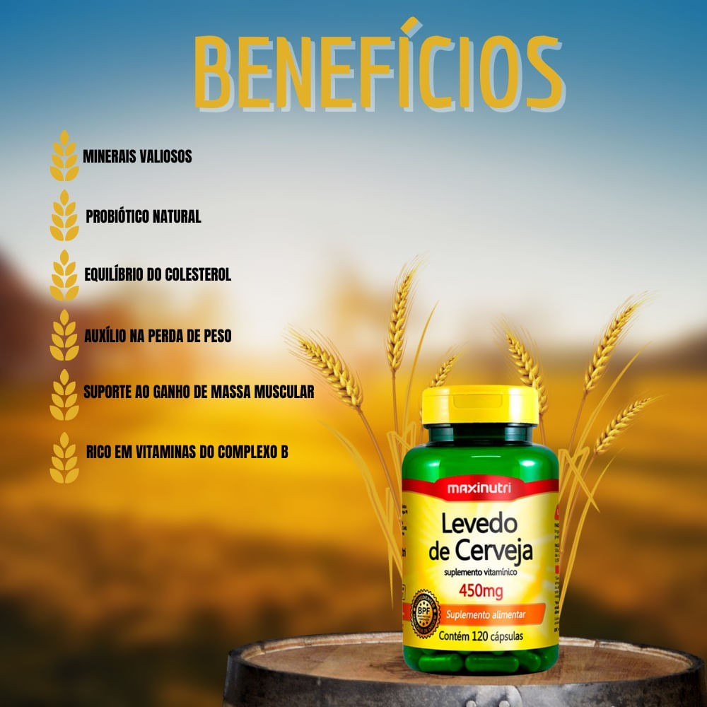 Kit 3 Levedo de Cerveja 450mg 120 Cápsulas Maxinutri em Promoção ...