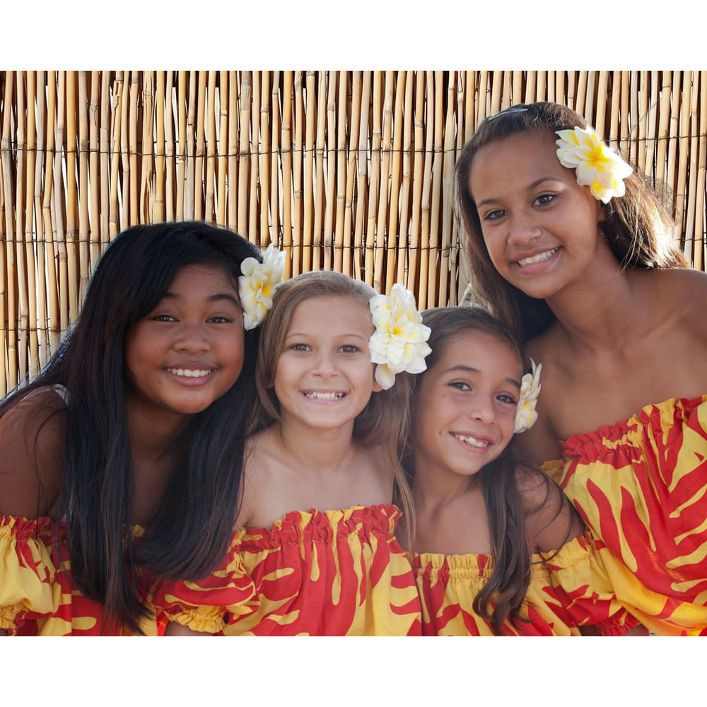 Pano de fundo fotográfico Barydat Hawaiian Beach Reed 244x183cm em ...