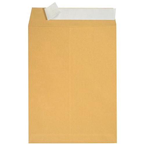 100 9 x 12 Self Seal Golden Brown Kraft Catalog Envelopes - Projetado ...