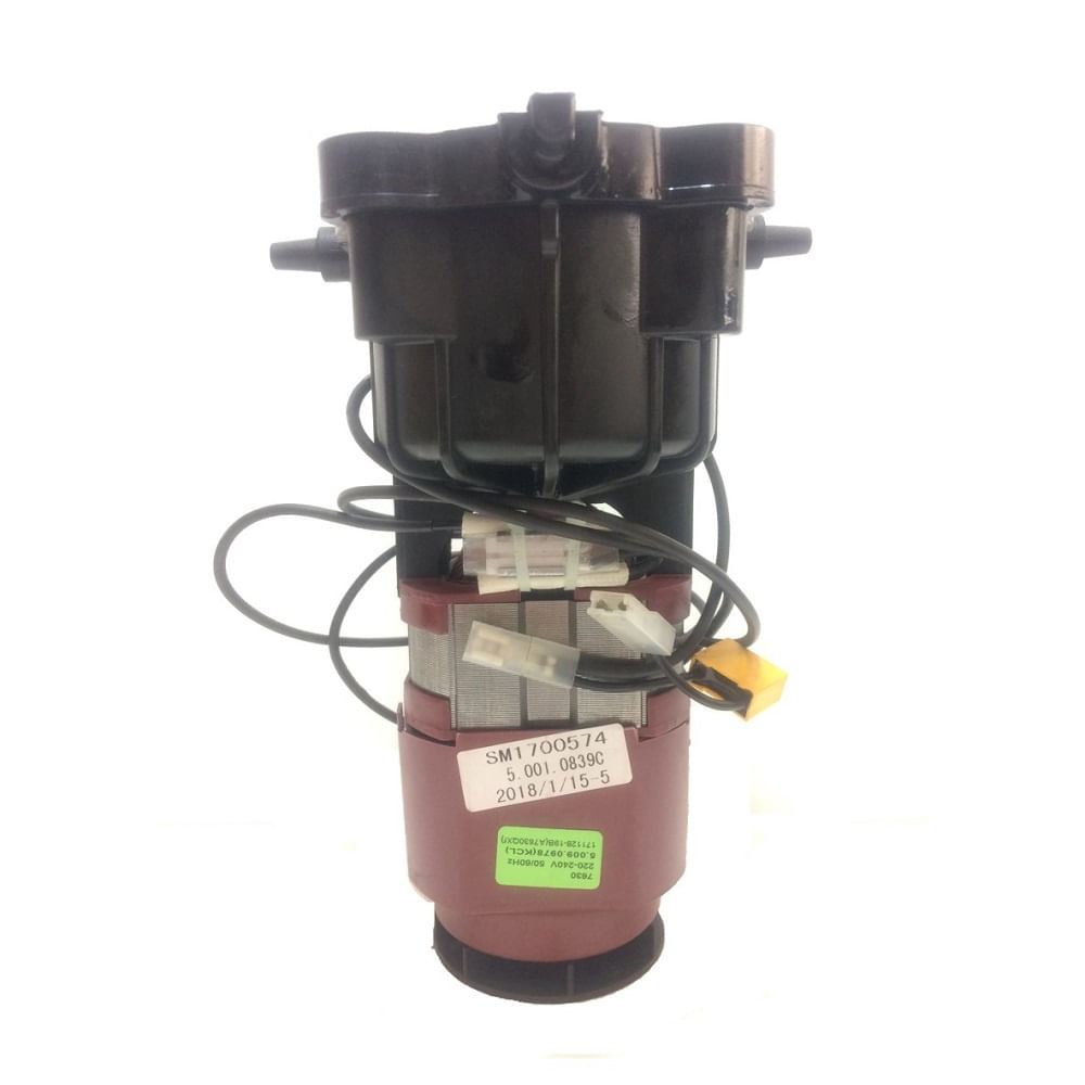 Motor Elétrico para Lavajato Lavor Wash Express Maxxi 1500W (127V) em ...