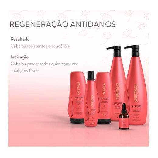 Kit Restaurador Aneethun Restore System 3 Produtos em Promoção ...