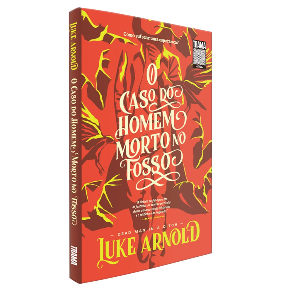 Livro - O caso do homem morto no fosso em Promoção | Ofertas na Americanas