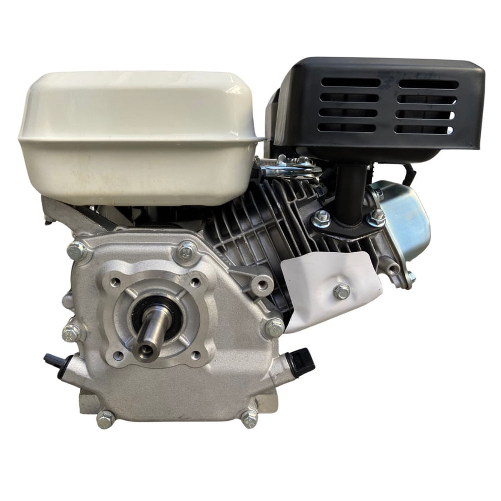 Motor 4 Tempos a Gasolina 6,5hp em Promoção | Ofertas na Americanas