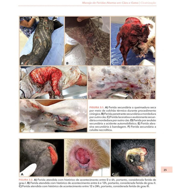 Cirurgia reconstrutiva em cães E gatos em Promoção | Ofertas na Americanas