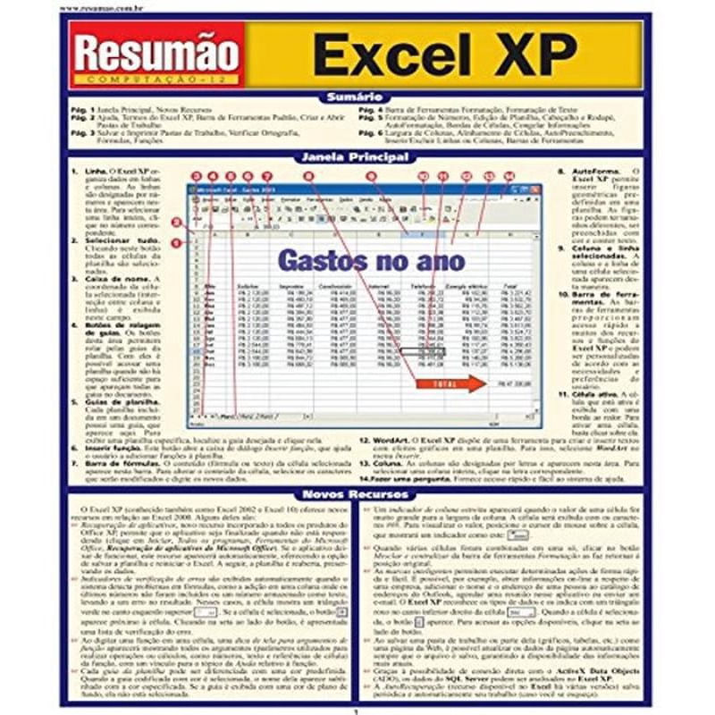 Livro Excel Xp - Vol 12 em Promoção | Ofertas na Americanas