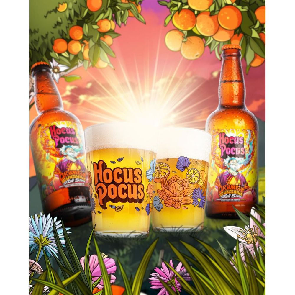 Cerveja Hocus Pocus Orange Sunshine 500ml em Promoção | Ofertas na ...
