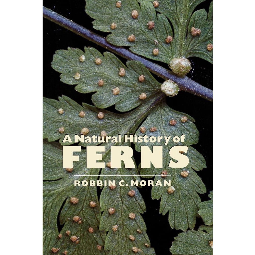 A Natural History of Ferns em Promoção | Ofertas na Americanas